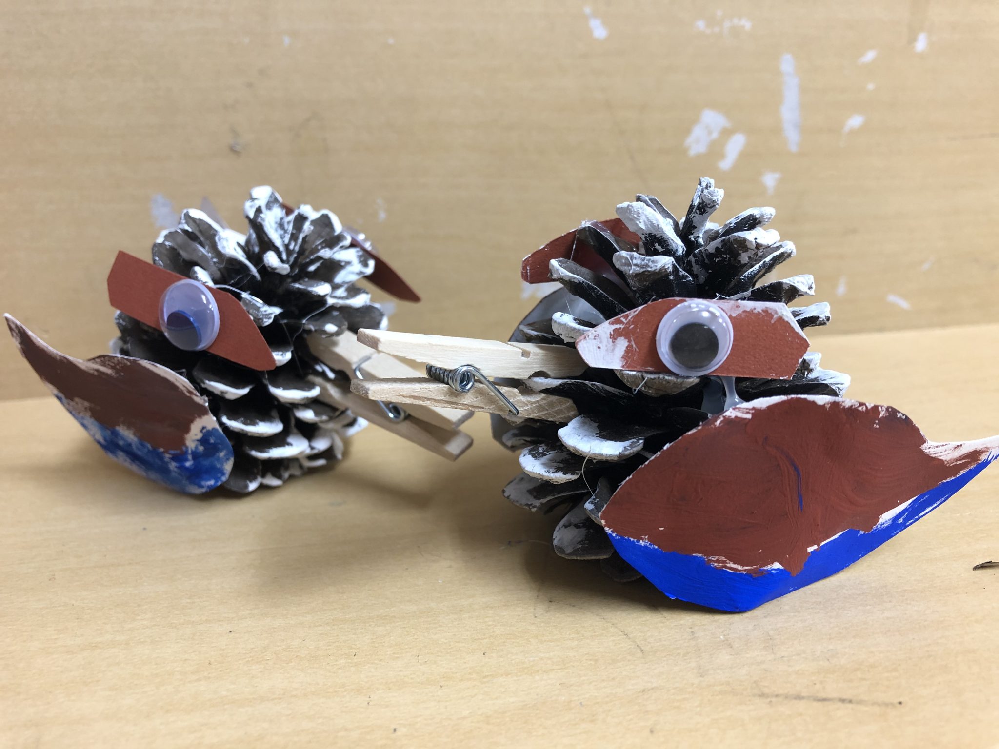 Kookaburra pine cone craft! | Prime Academic Preschool