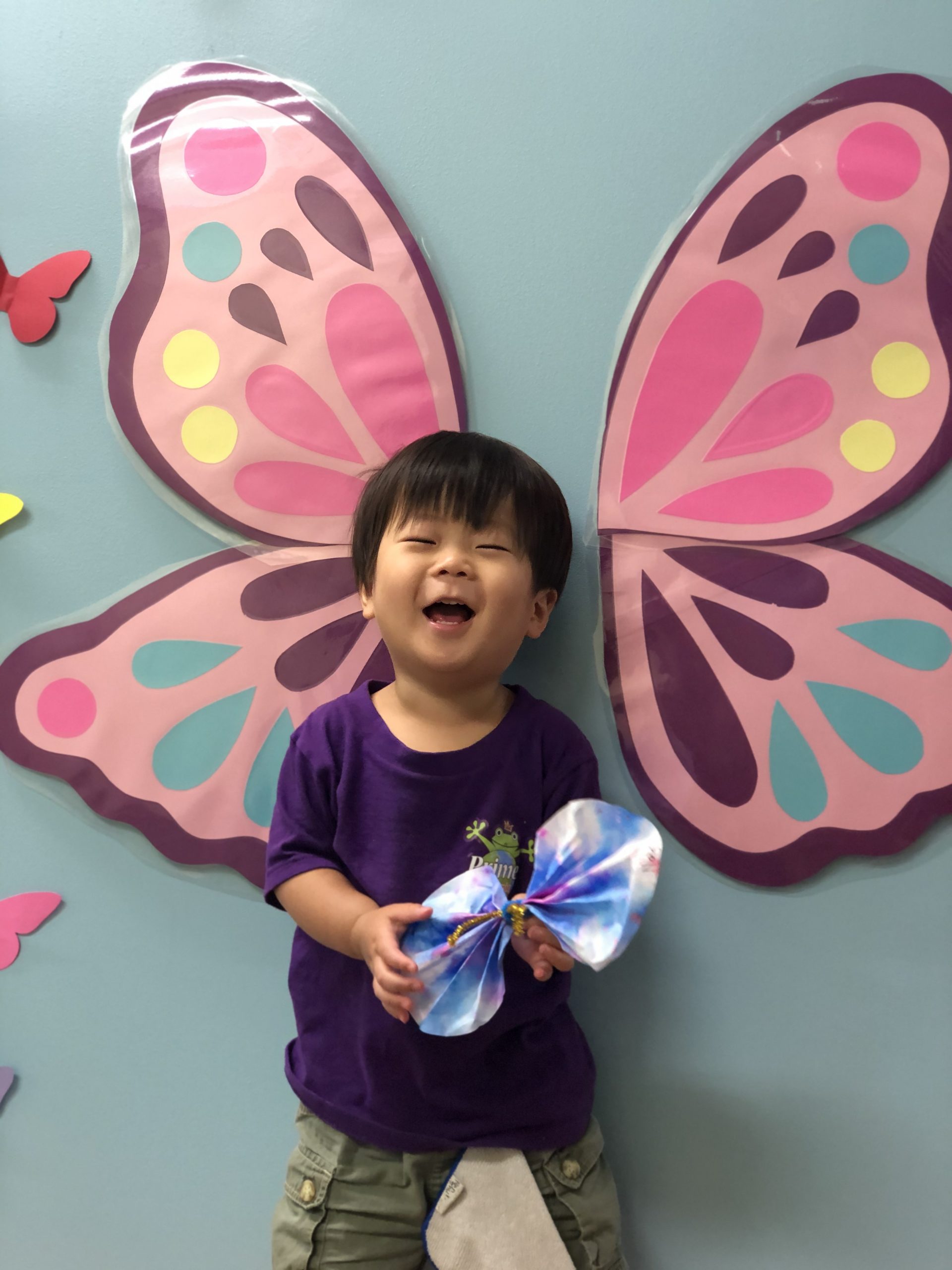 Fly High,Fly Low! | Prime Academic Preschool
